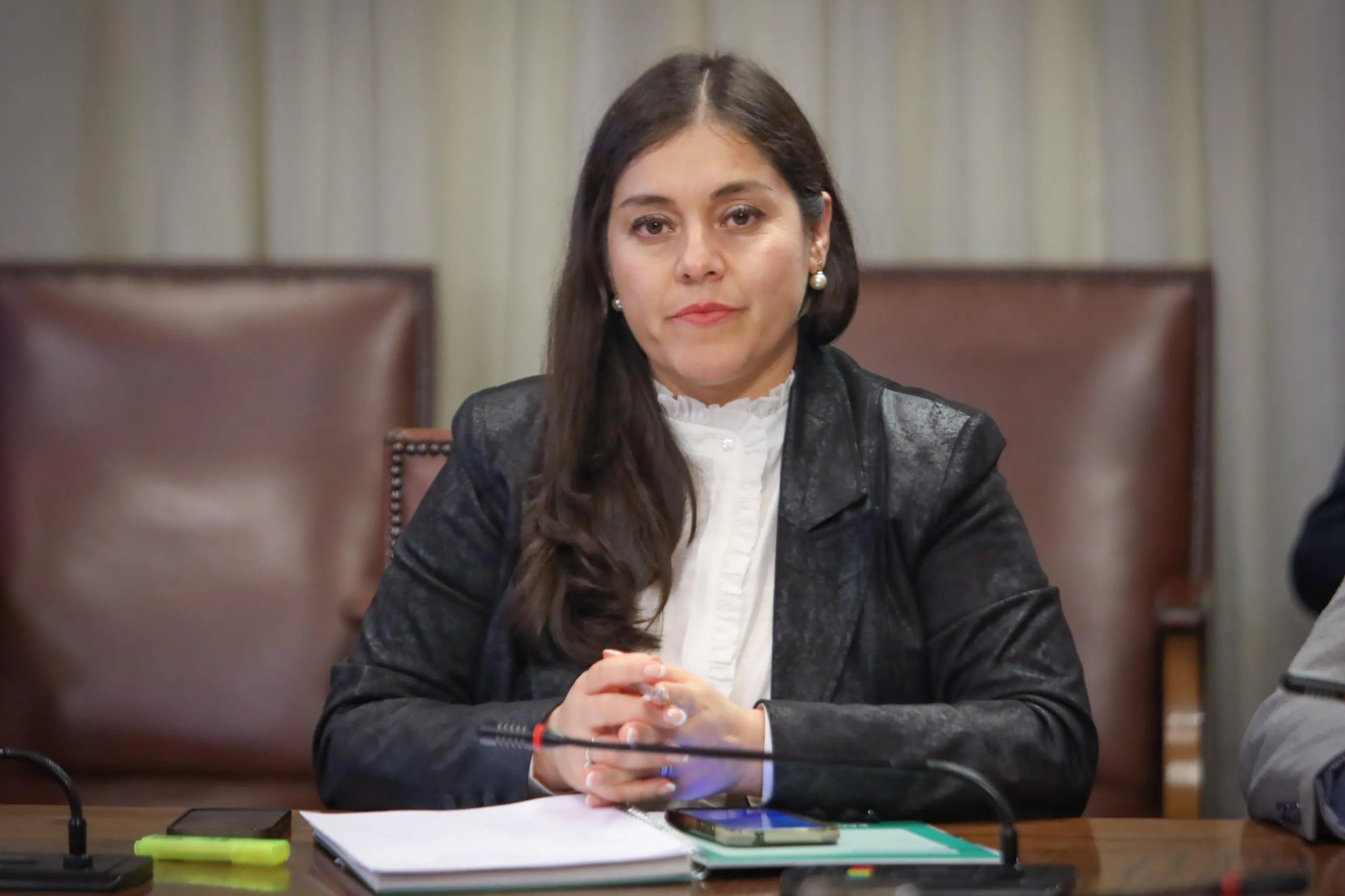 Diputada Karen Medina Cuestiona Cambios en Programas de Innovación de Corfo